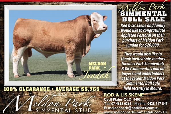 Meldon Park Simmentals - Simmental Stud, Queensland